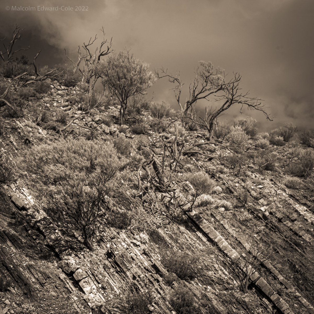 Rock face